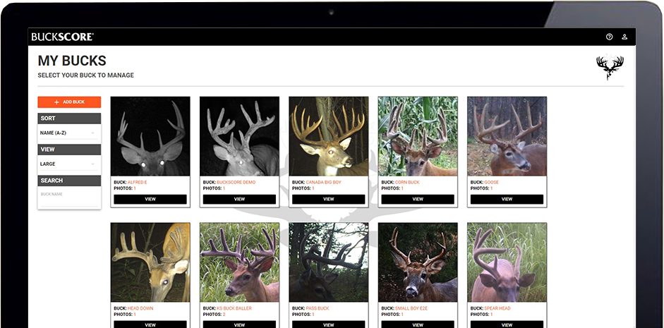 Patented Digital Antler Scoring App | BuckScore