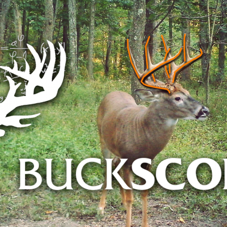 Field Scoring a Deer 101 | BuckScore