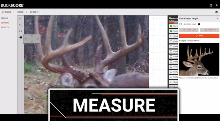 What does your buck or deer score? | BuckScore