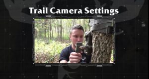 Guidelines for the Perfect Trail Camera Setup | BuckScore