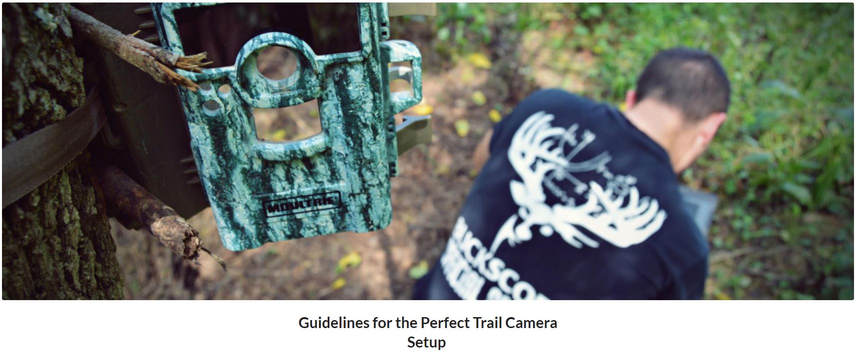 Salvage Your Deer Season With These Late Season Camera Tips! | BuckScore