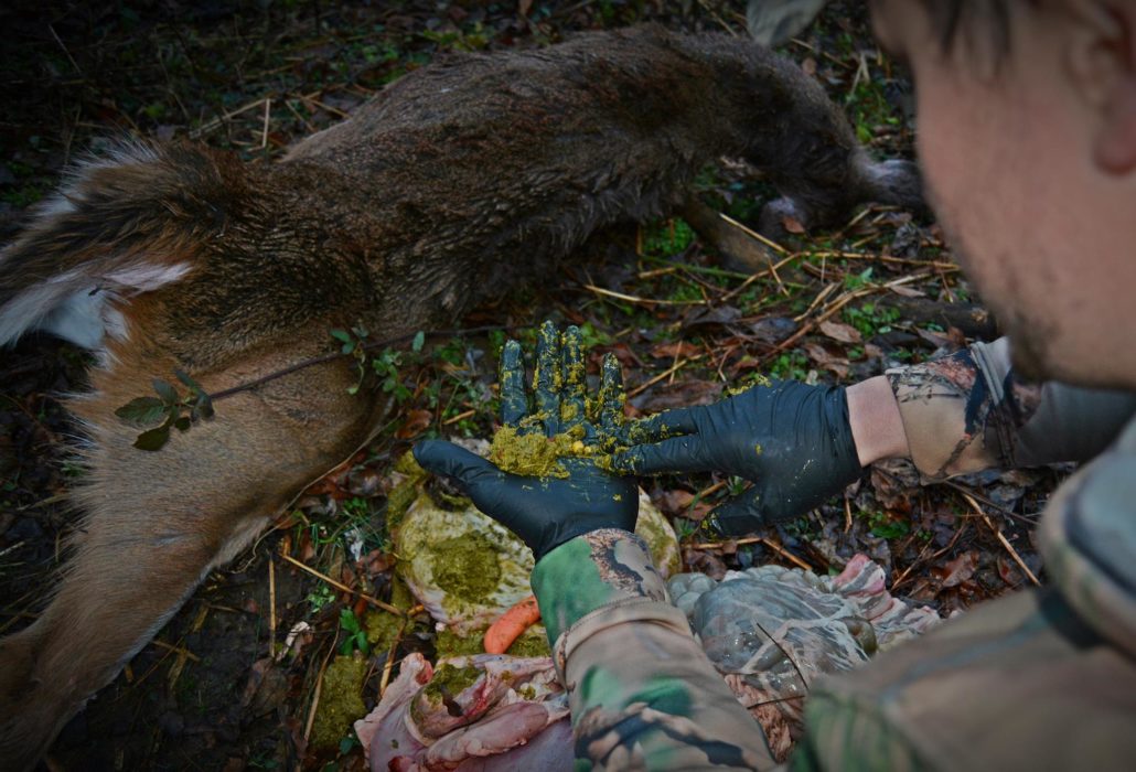 Trail Camera Survey |Take Inventory of Your Deer Herd This Winter