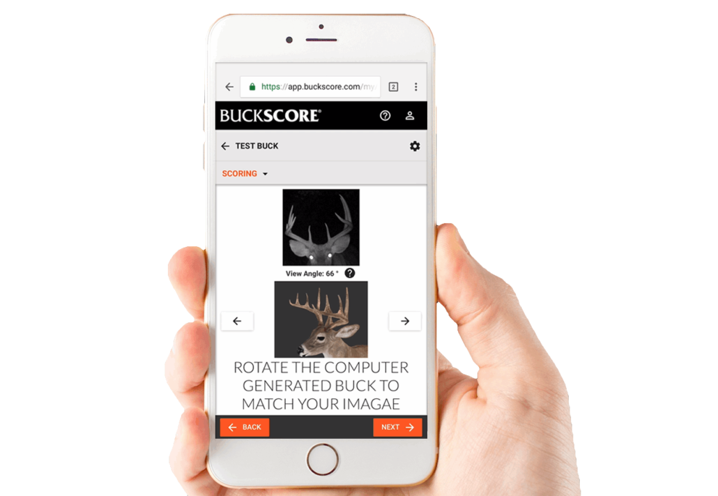 DRAFT | TY | HOW TO | BuckScore
