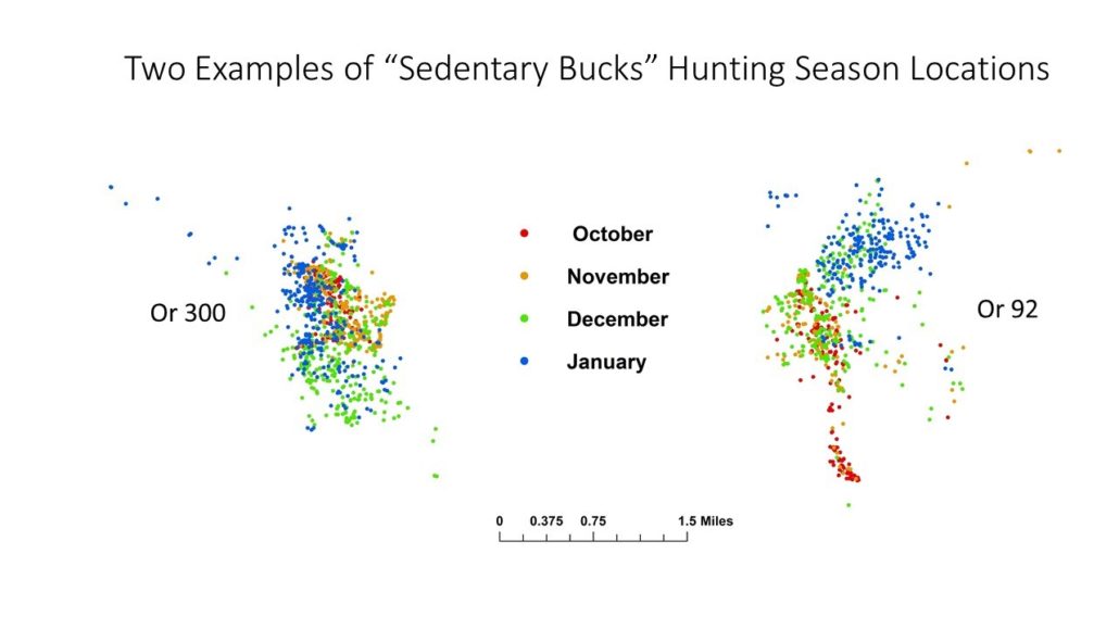 Here Today, Gone Tomorrow (Part 2): Buck Movements Tied to Personality ...