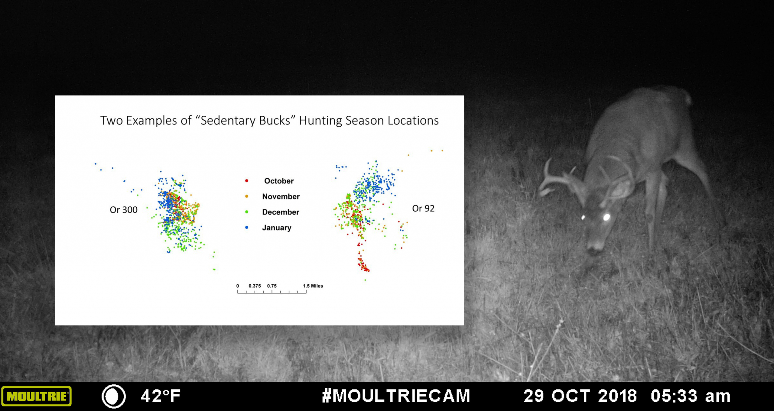 Here Today, Gone Tomorrow (Part 2): Buck Movements Tied to Personality ...