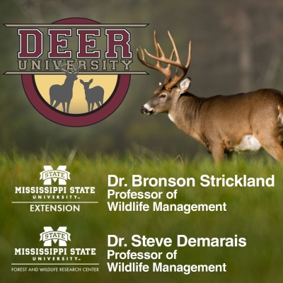 MSU Deer Lab Podcast Episode 033 with Special Guest Jeremy Flinn ...
