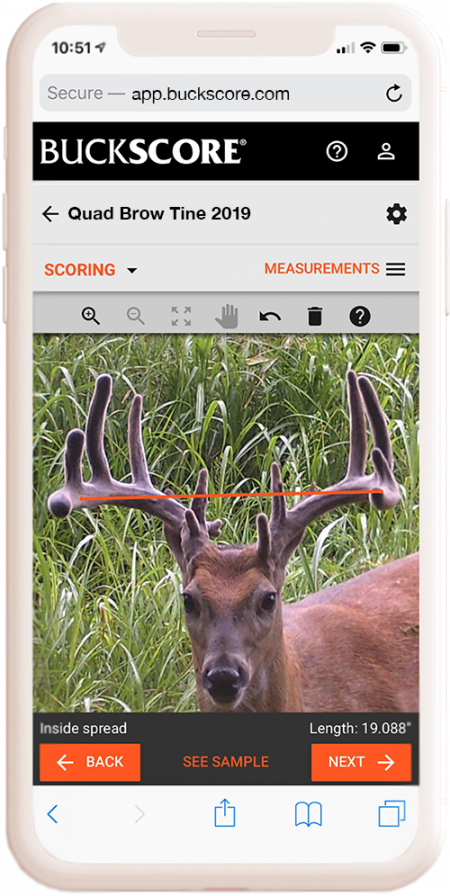 How Does it Work? | BuckScore