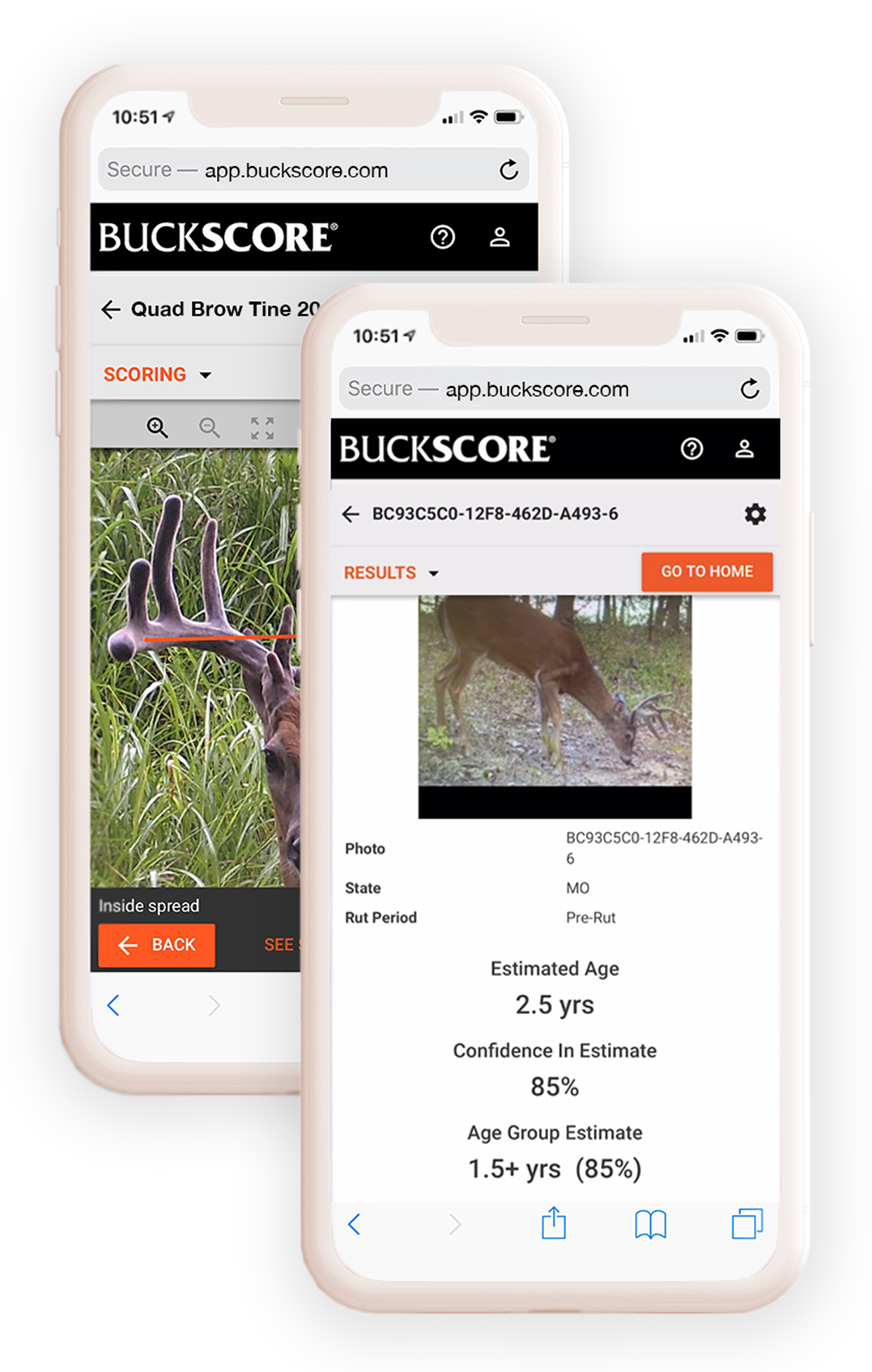 Patented Digital Antler Scoring App | BuckScore