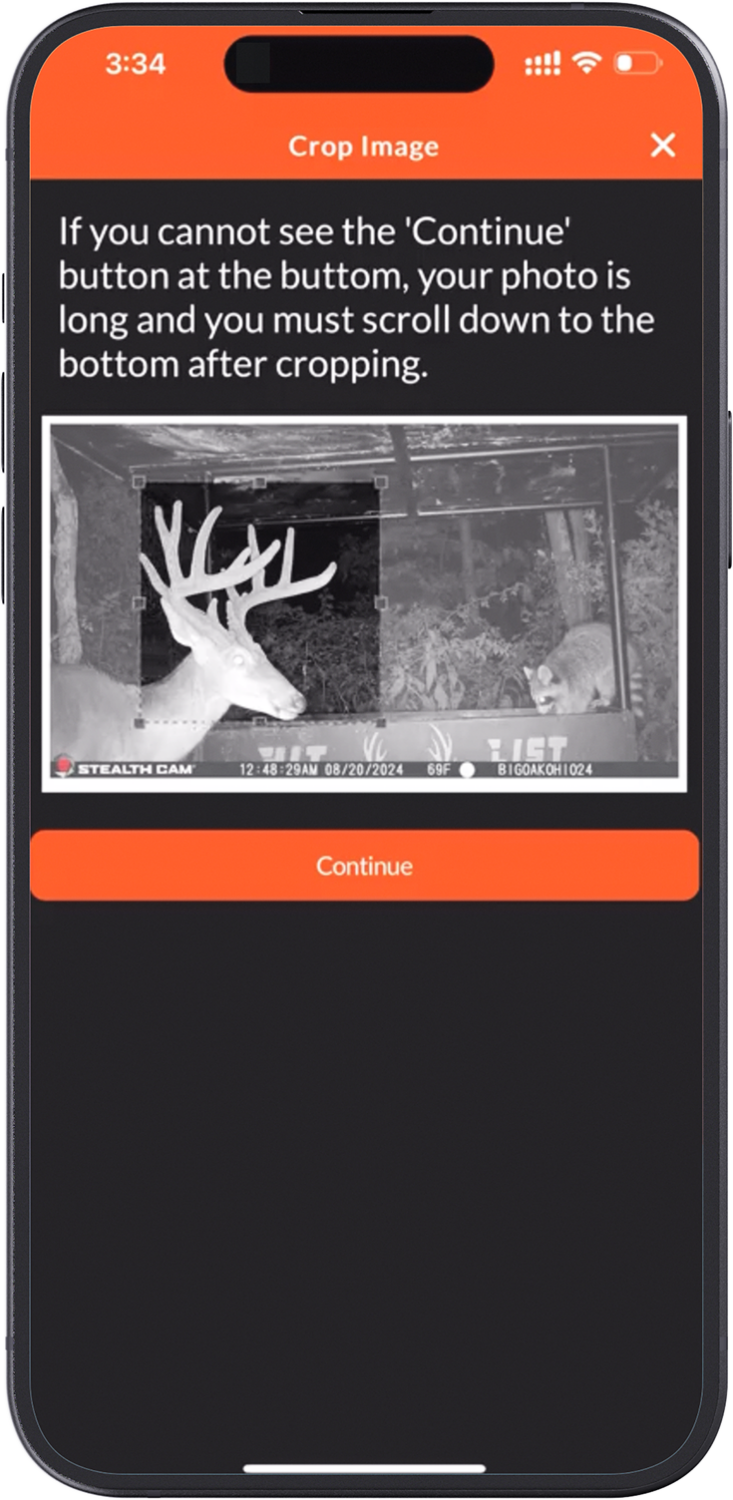 Buckscore Antler AI™ - Instantly Score Any Buck | BuckScore